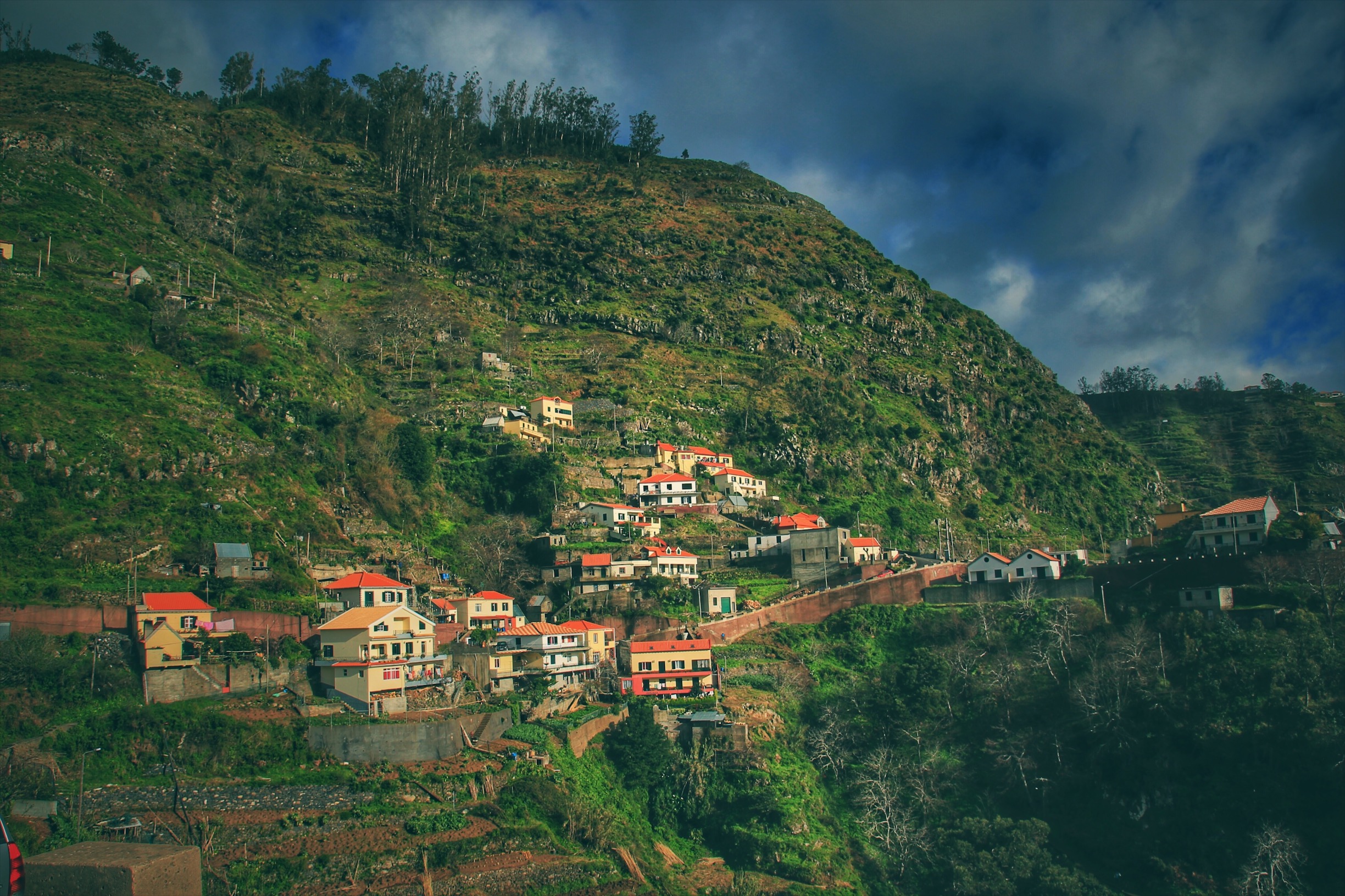 Madera. Przewodnik tematyczny i informacje praktyczne - Wojażer